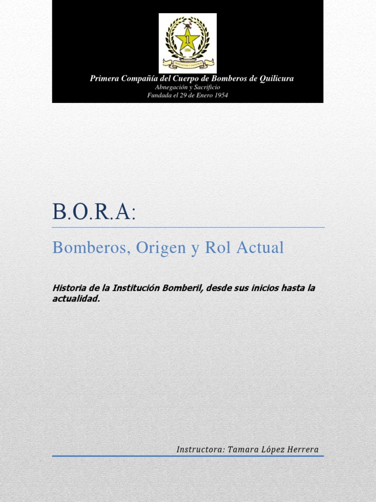 Manual BORA | PDF | Bombero