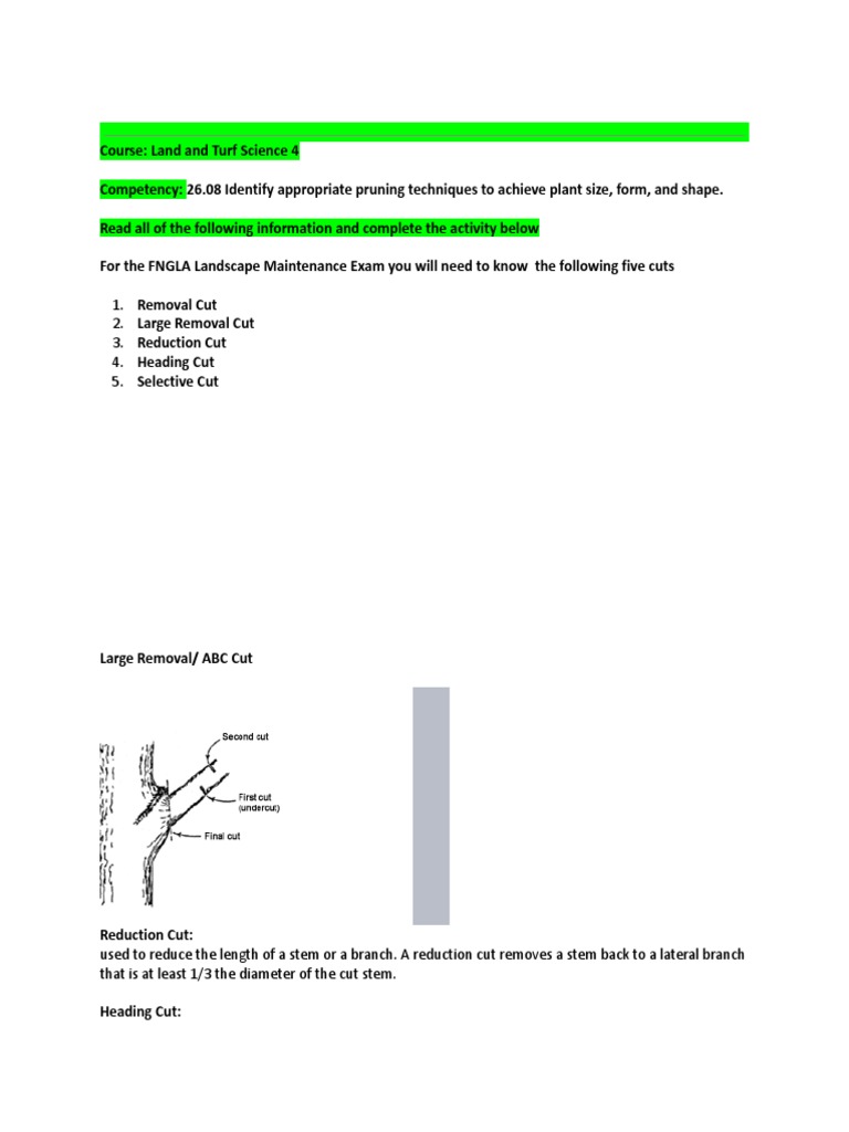 Prunning Cuts Lesson Pdf