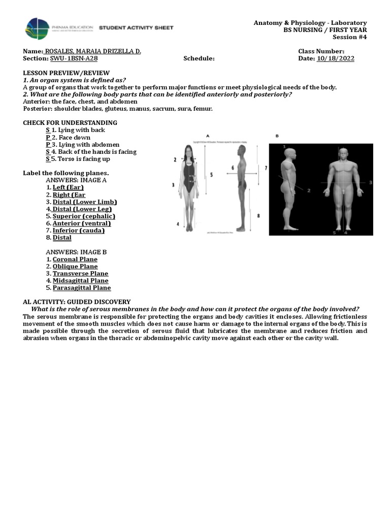 Rosales - Anaphy Lab 4 | PDF