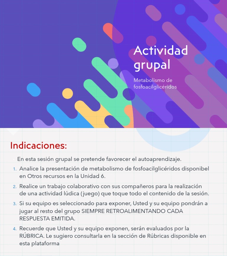 Sesión 50 Metabolismo de Fosfoglicéridos | PDF