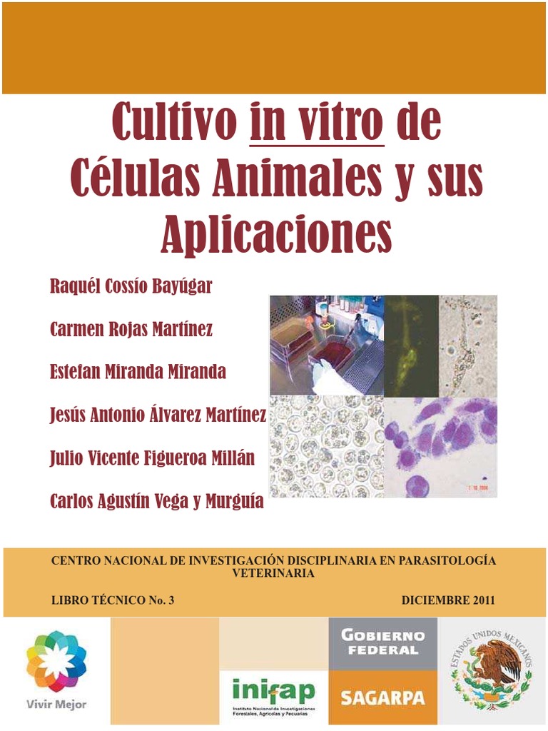 Cultivo in Vitro de Celulas Animales y S | PDF | Concentración ...