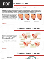 Incisión Rocky Davis | PDF | Medicina CLINICA | Anatomía