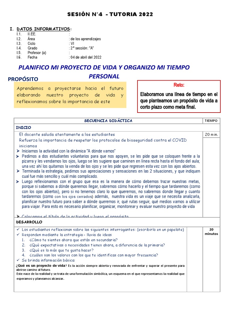 Sesión 4 Proyecto de Vida | PDF | Cognición
