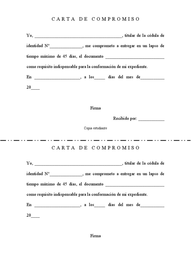 Carta de Compromiso | PDF