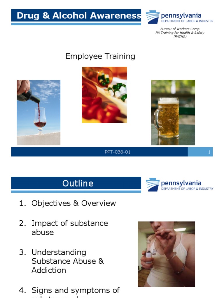 Drug & Alcohol Awareness: Employee Training | PDF | Substance Abuse ...