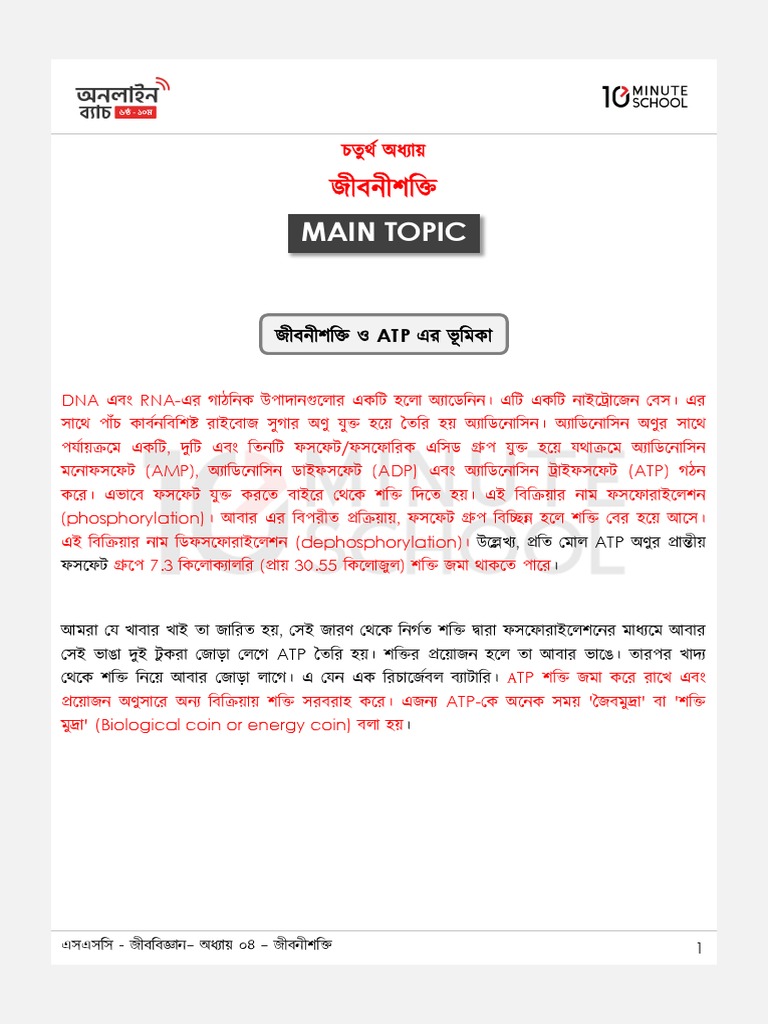 SSC Biology Chapter 4 (Lecture Sheet) | PDF