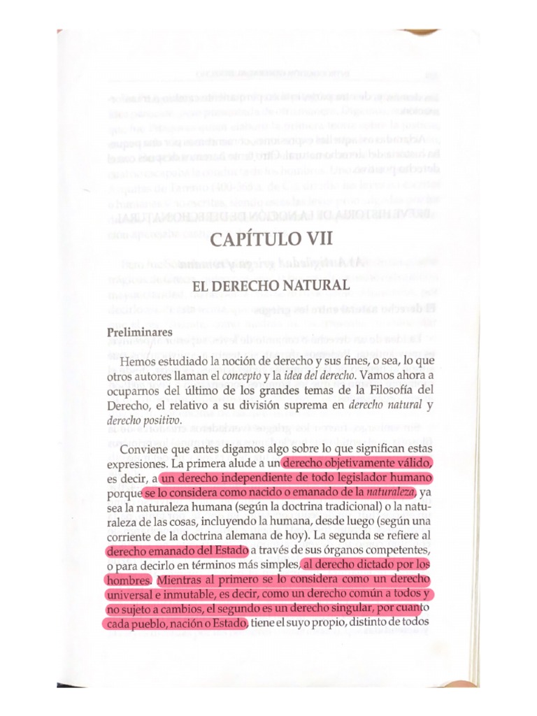 Capítulo Vii | PDF
