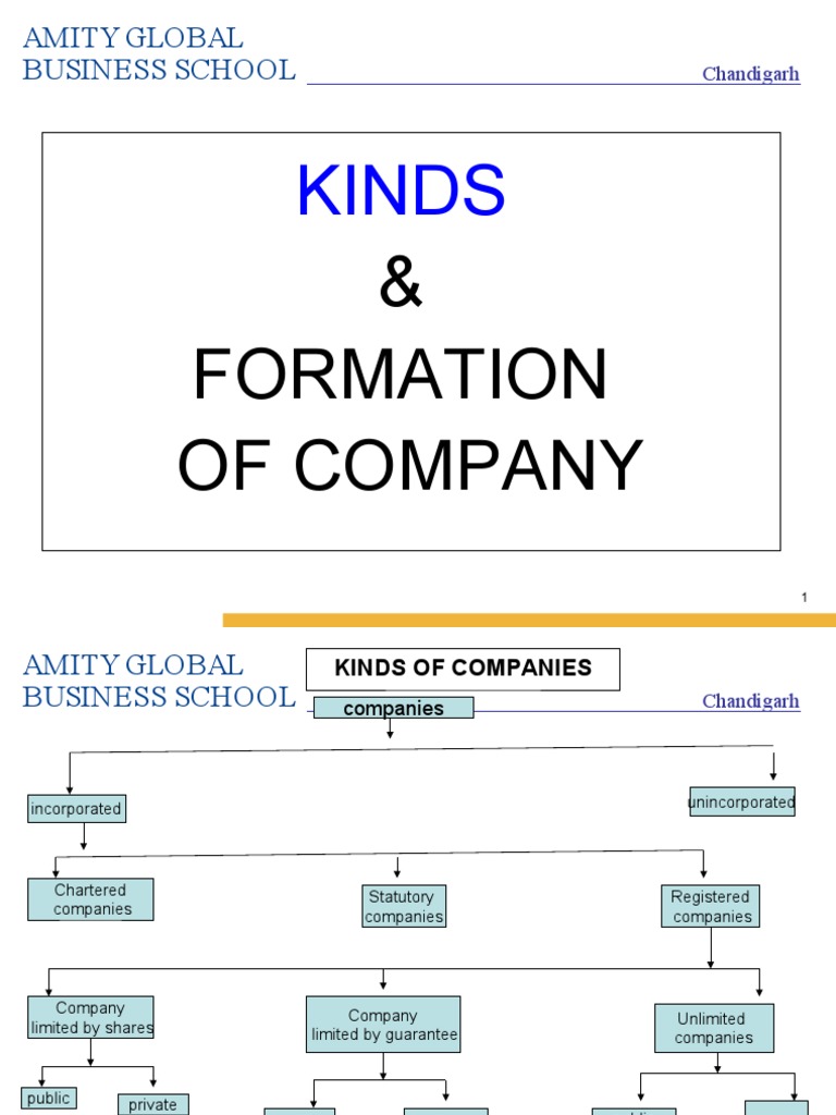 Types and Formation of Companies | PDF | Guarantee | Companies