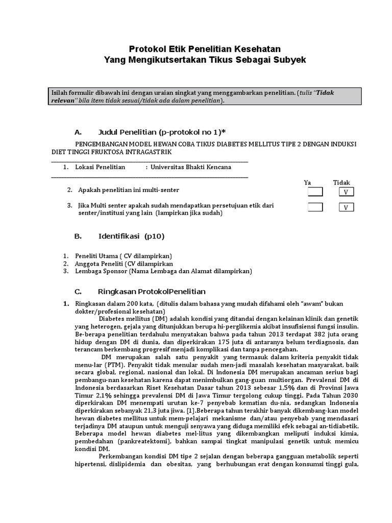 Manual 48 Protokol | PDF