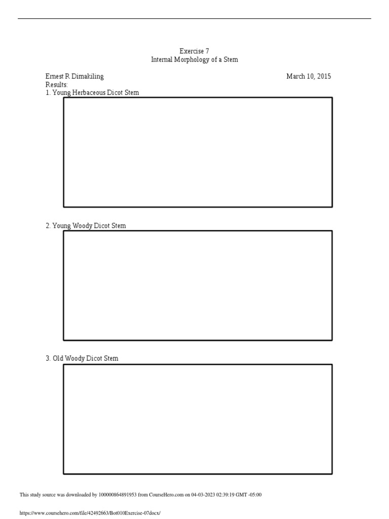 Bot010.Exercise 07 | PDF | Plant Stem | Trees
