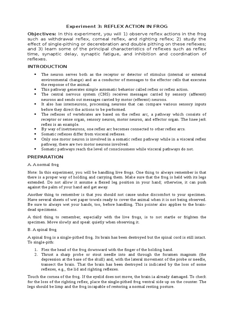 Experiment 33 | PDF | Nervous System | Motor Neuron