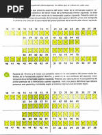 Practica Odontogramas | PDF | Anatomia dental | Odontología