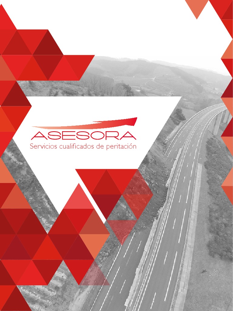 Presentacion GENERAL - ASESORA | PDF | Seguro | Testigo experto