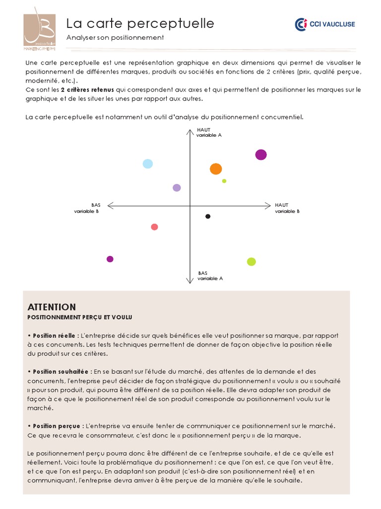 Carte Perceptuelle | PDF