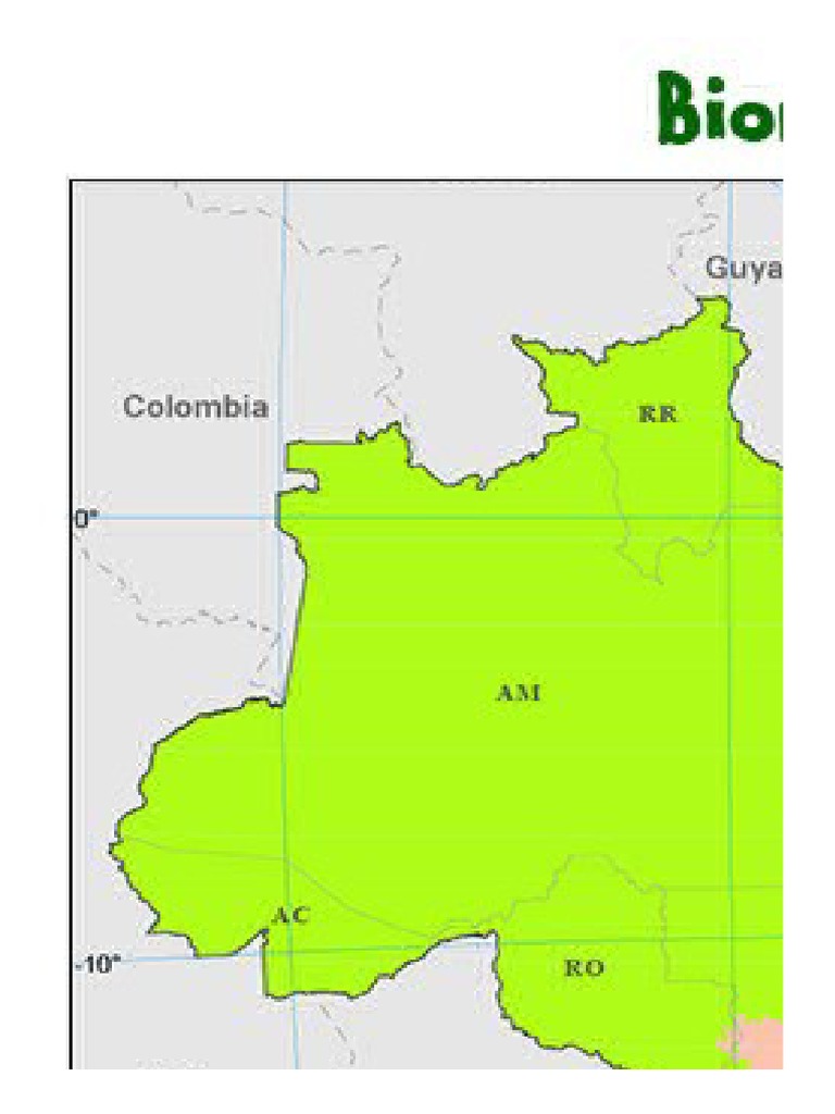 Mapa Biomas Brasileiros Tamanho Grande | PDF