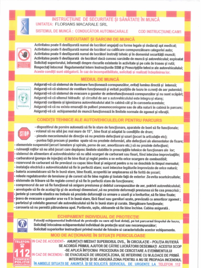 Instructiuni SSM | PDF