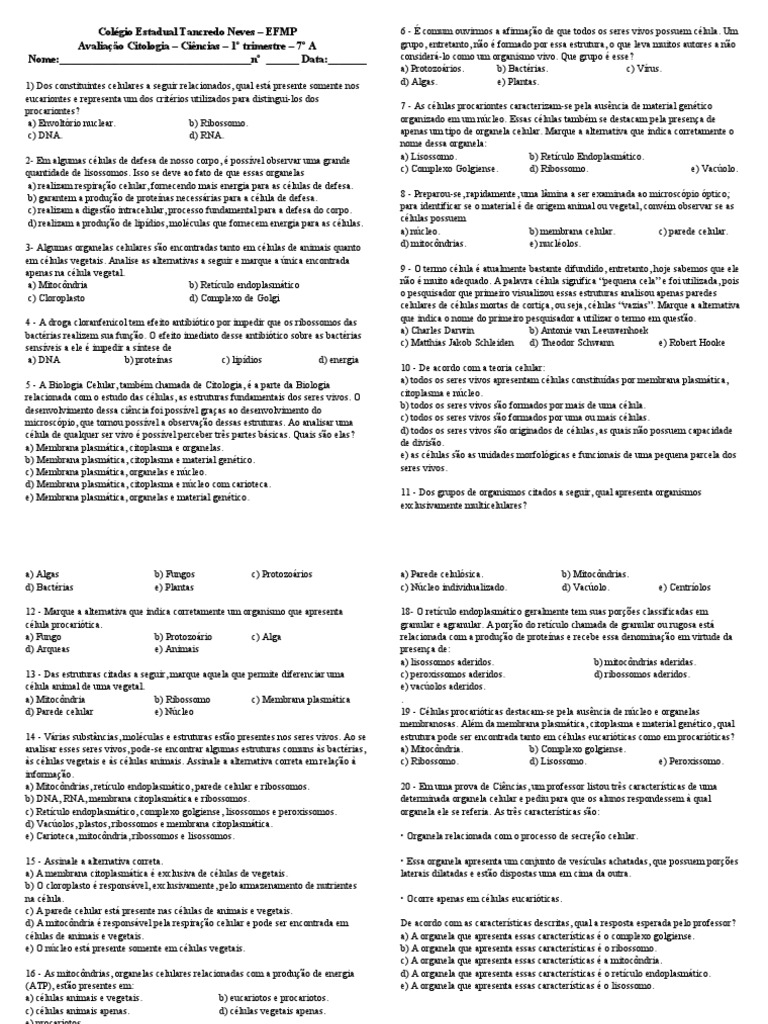Prova 7 Ano - Organelas | PDF | Célula (Biologia) | Organelo