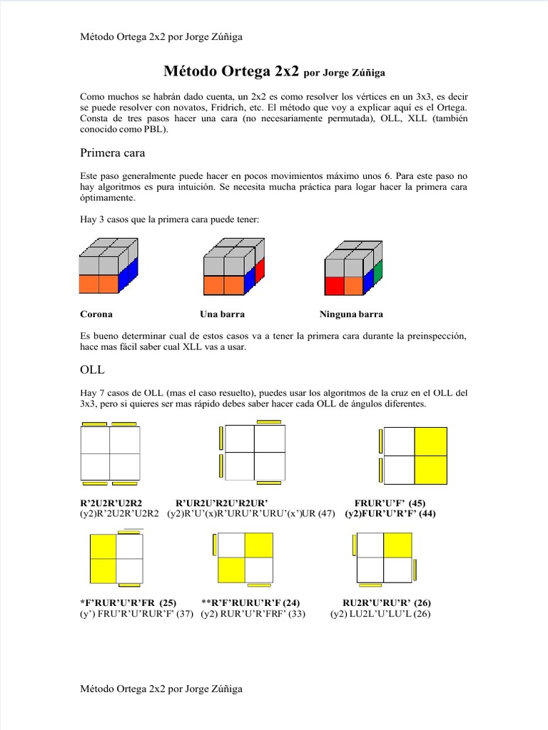 Dokumen - Tips - 2x2 Metodo Ortega JZ | PDF