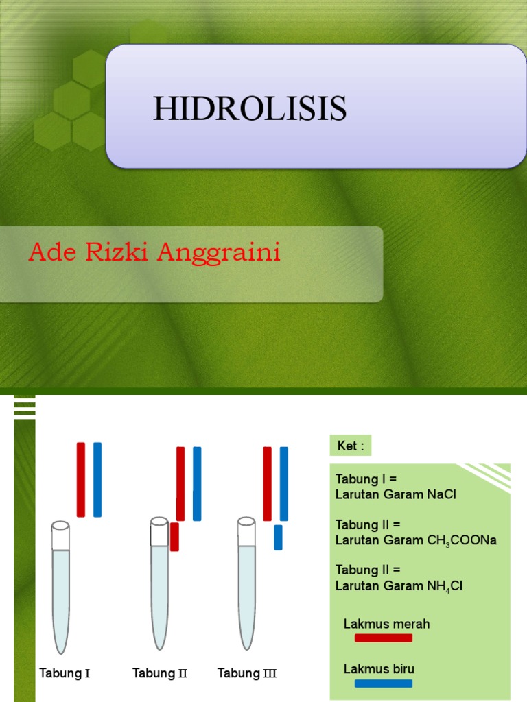 Hidrolisis | PDF