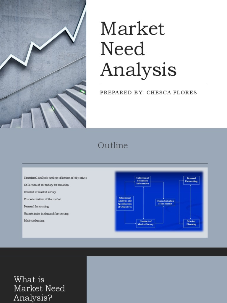 Market Need Analysis | PDF | Marketing | Market (Economics)