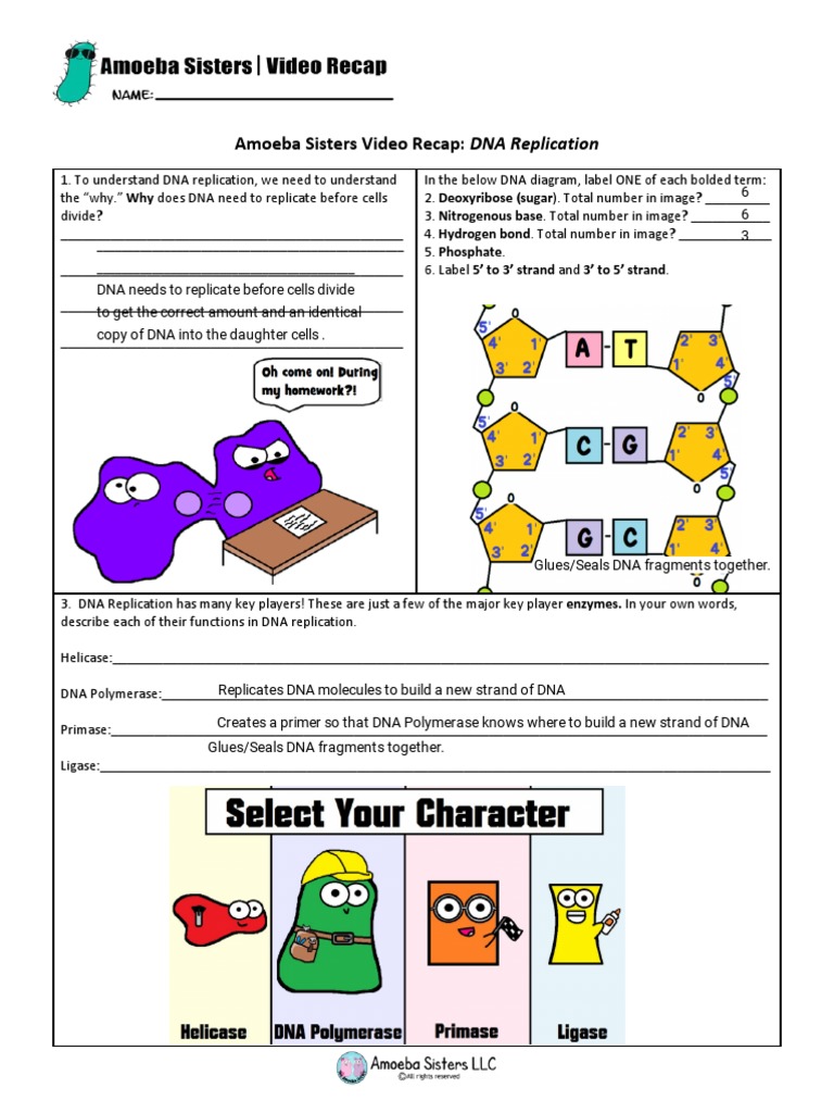 Kami Export - Yunus Haq - Amoeba Sisters - DNA Recap | PDF | Dna ...