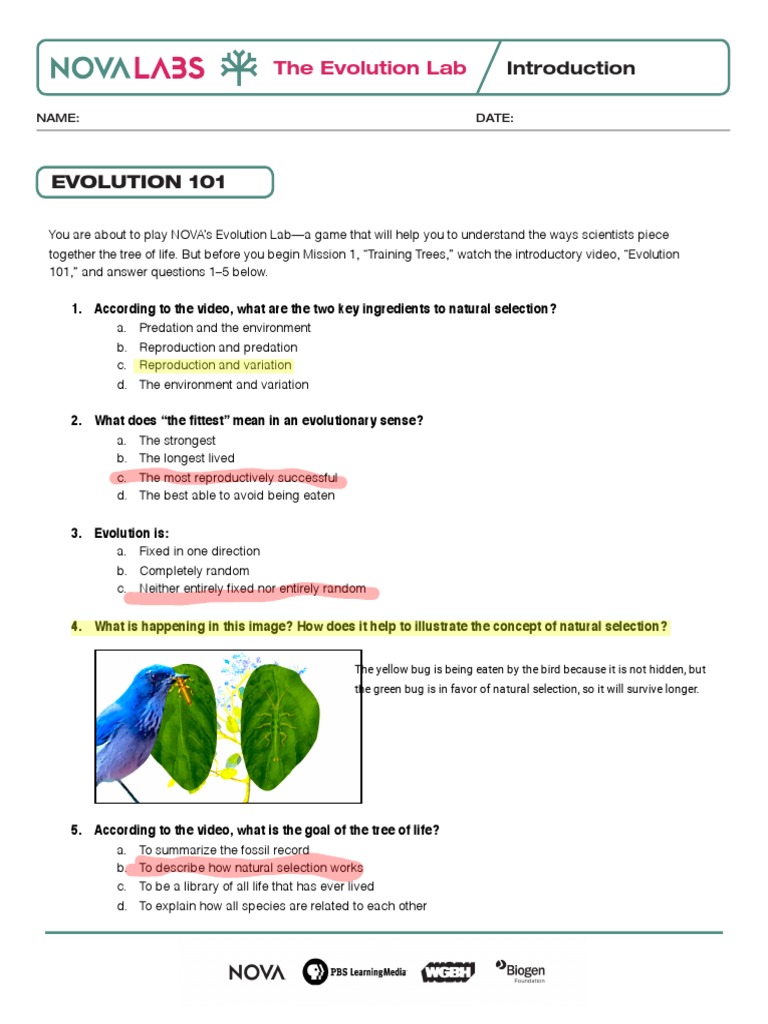 Kami Export - Yunus Haq - NOVA - Evolution - Lab - Worksheets | PDF ...