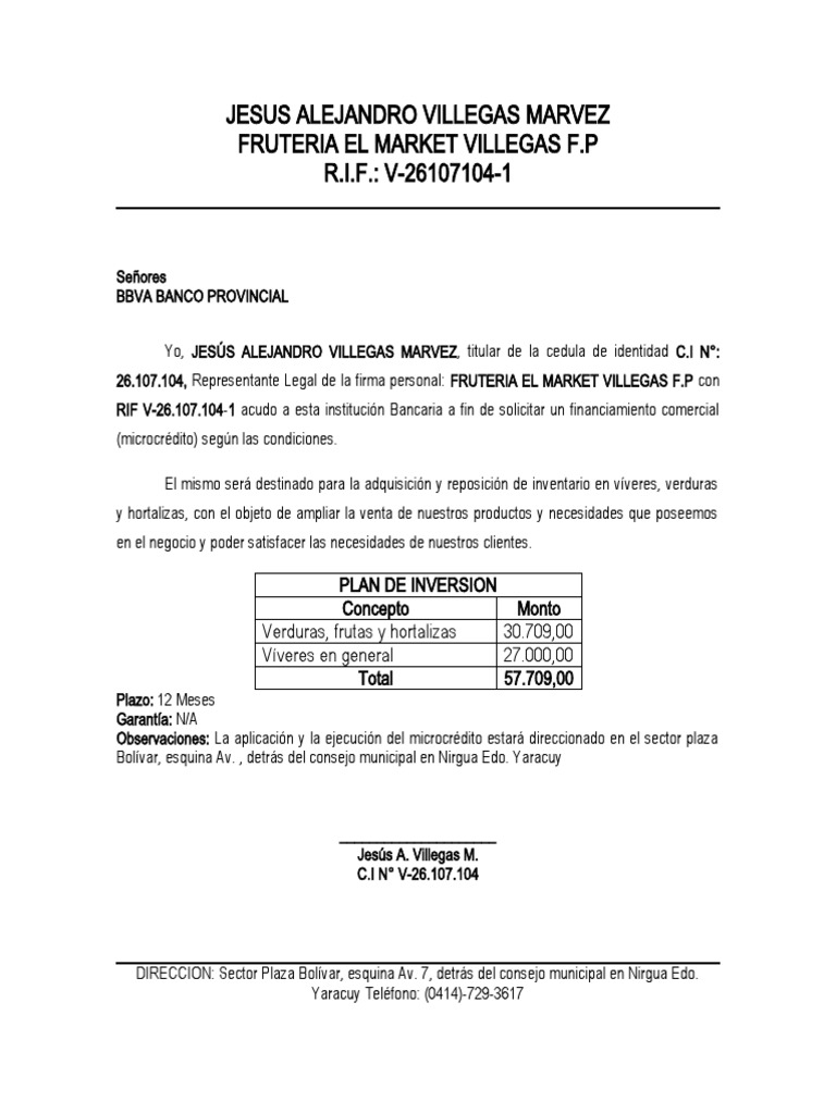 Plan de Inversion | PDF