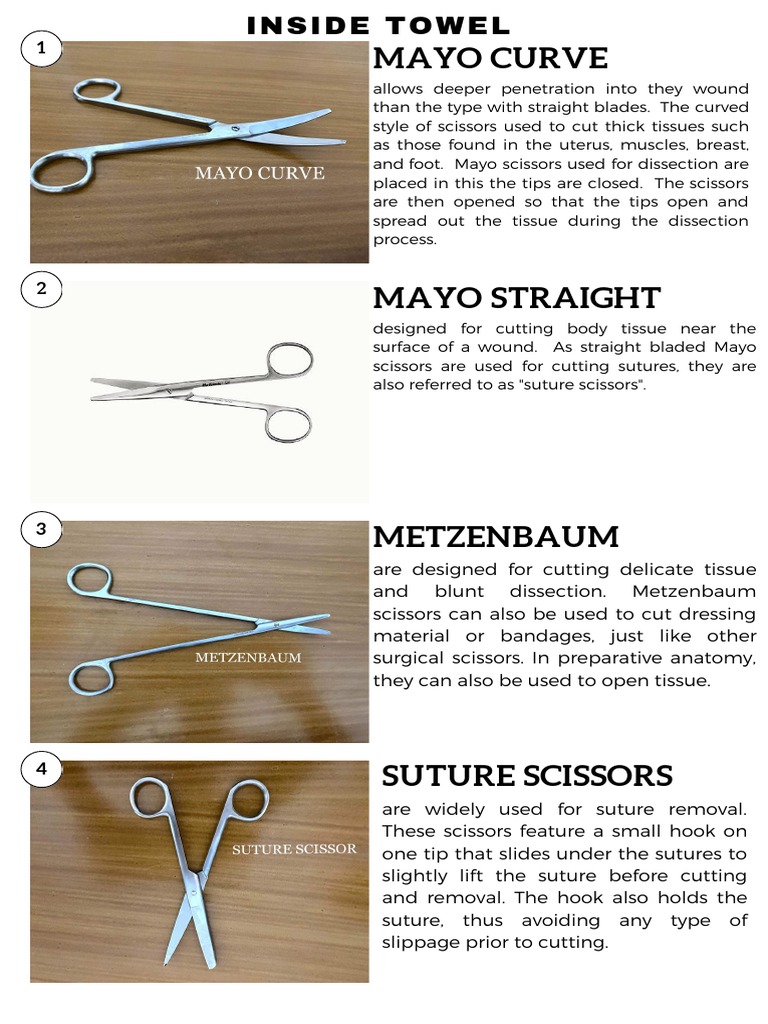 Mayo Curve | PDF | Anatomy | Surgical Specialties