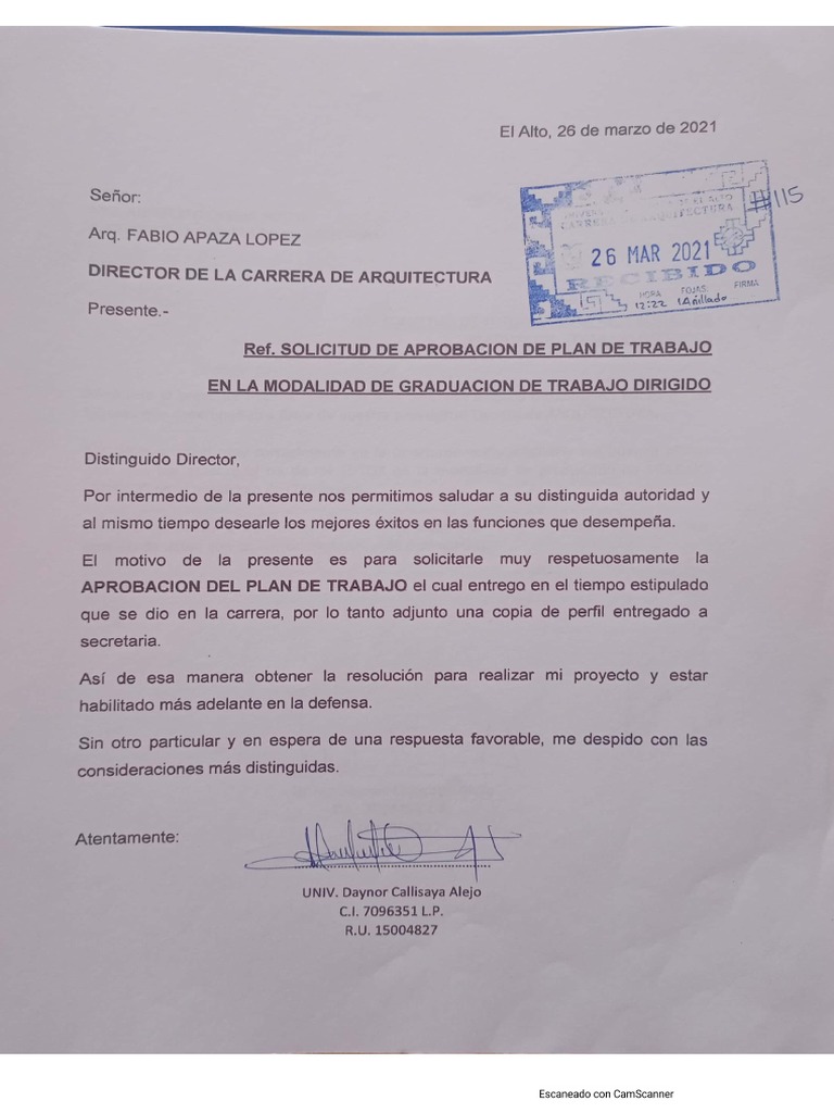 Ejemplo de Trabajo Dirigido | PDF