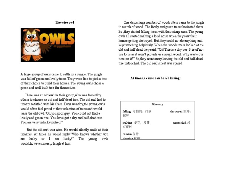 The Wise Owl | PDF