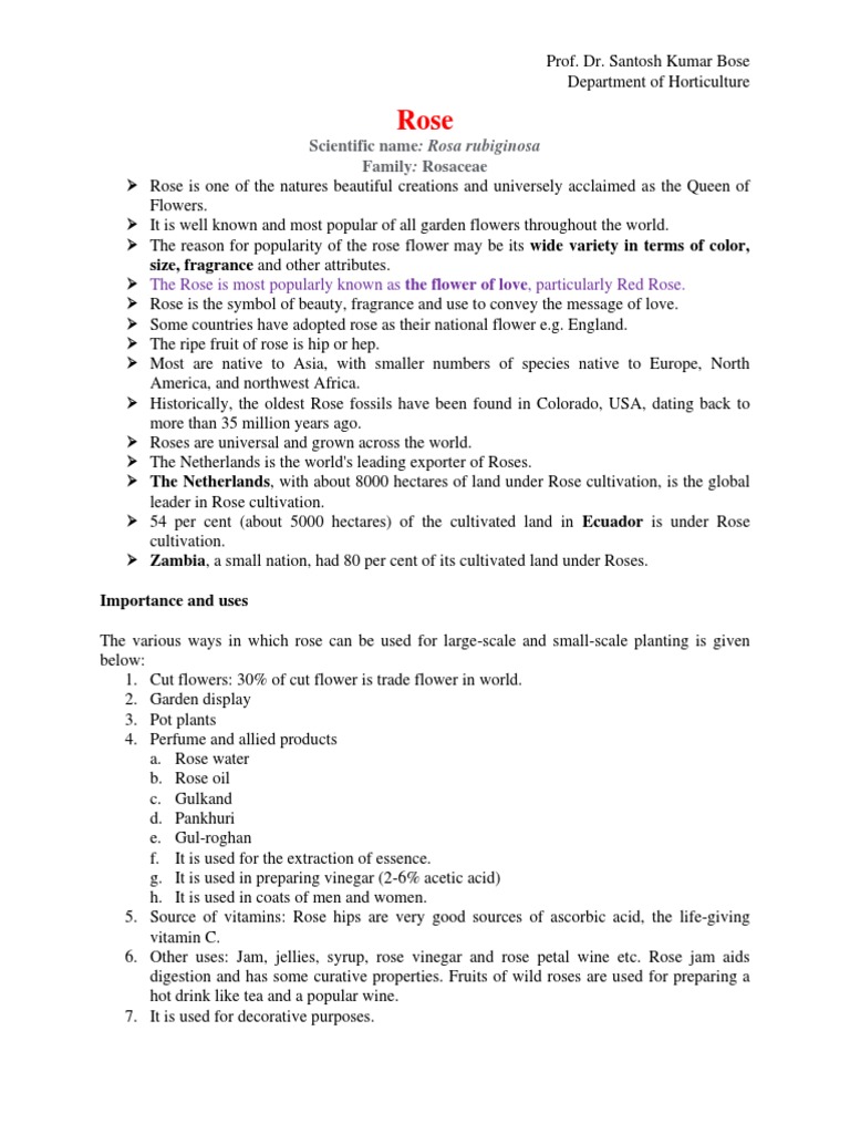 The Complete Guide to Cultivating Roses: A Comprehensive Examination of ...