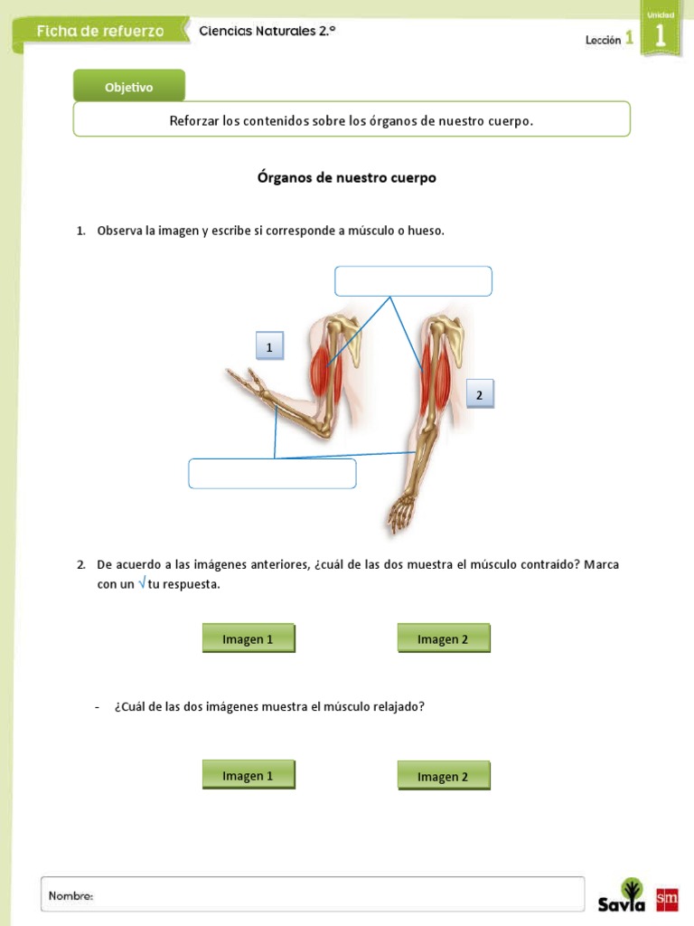 Refuerzo de Ciencia U1 L1 | PDF