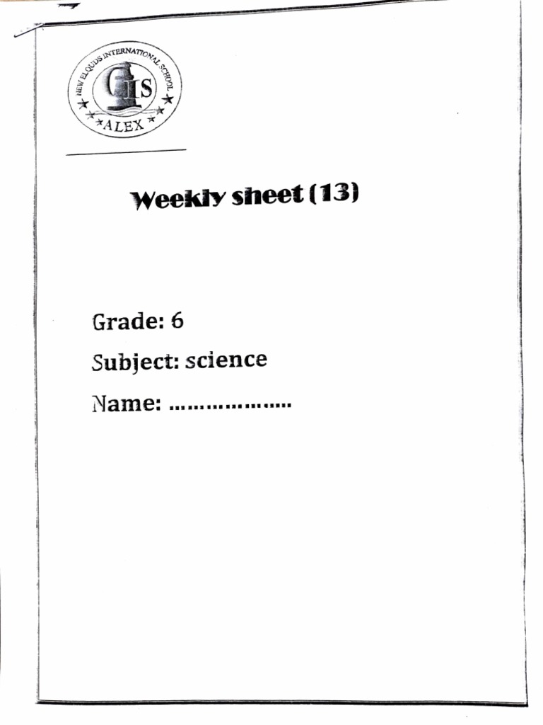 Science g6 ws13 2023-02-16 | PDF | Equipment | Components