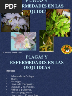 FRASES H y P Productos Quimicos Peligrosos | PDF | Alergia | Agua