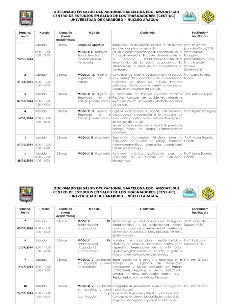 DIPLOMADO EN SALUD OCUPACIONAL BARCELONA EDO - PDF | PDF