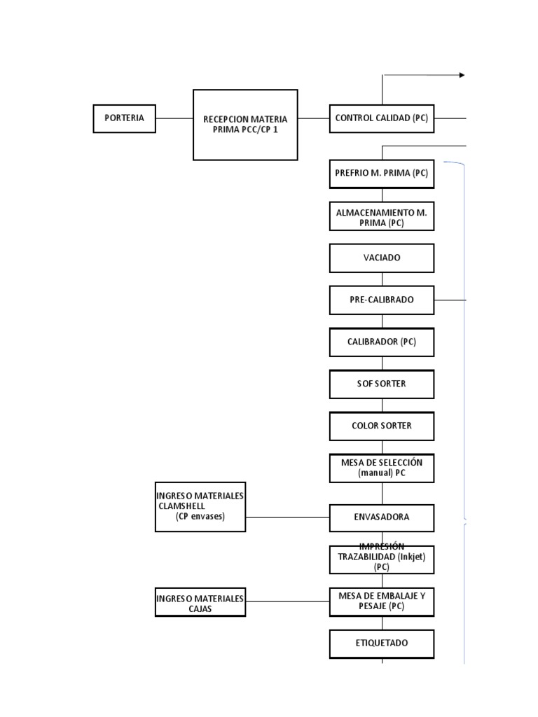 Packing Diagrama de Flujo | PDF