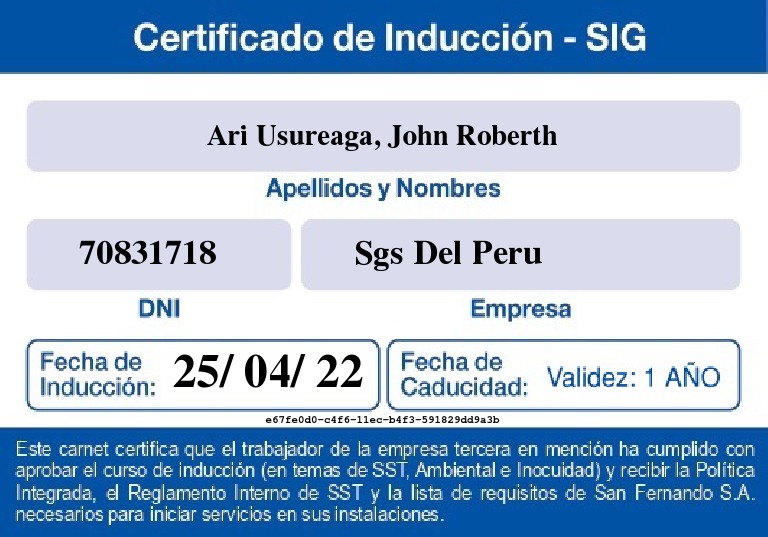 San Fernando Ari - Certificado de Induccion Sig | PDF