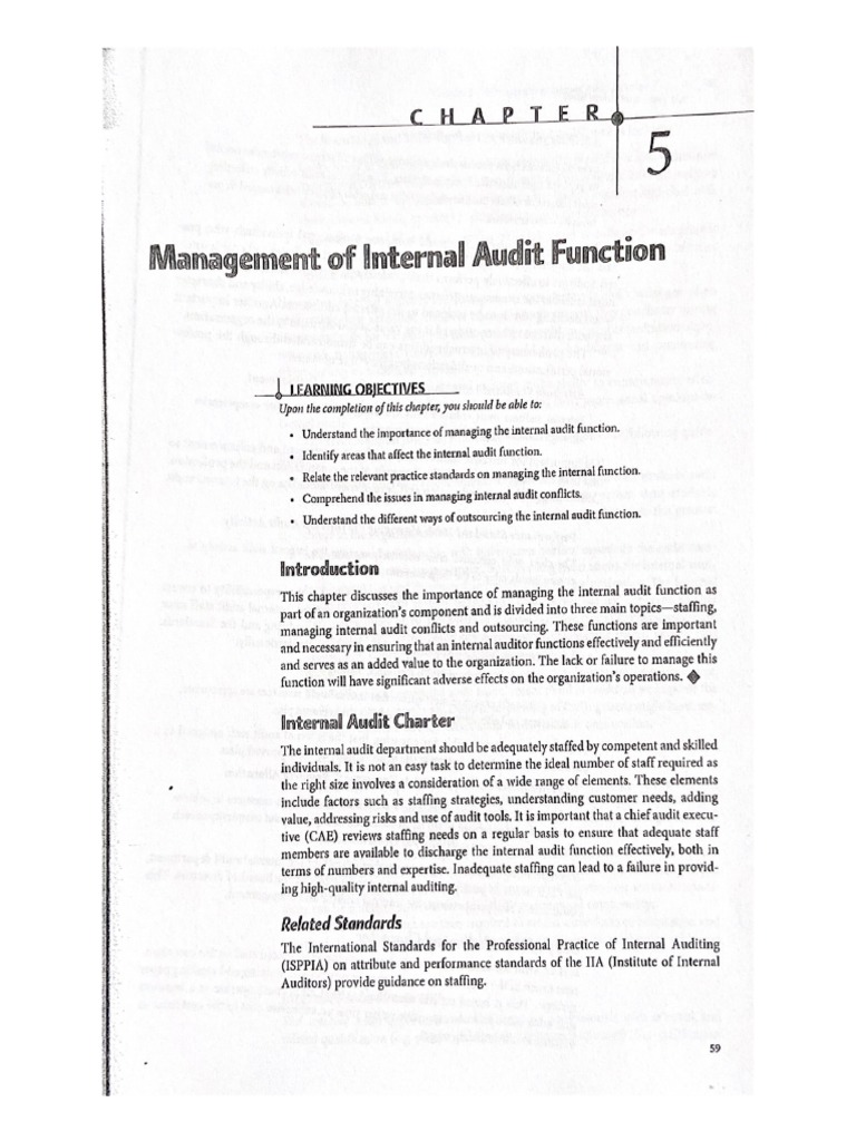 Topik 5 - Managing The Internal Audit Function | PDF