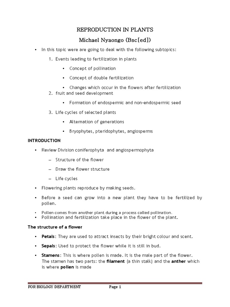 Reproduction in Plants | PDF | Fertilisation | Seed