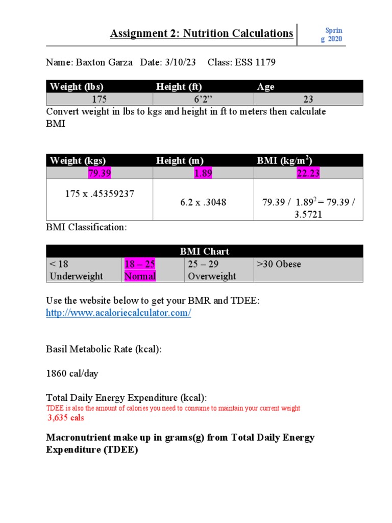 Assignment 2 Nutrition Calculations | PDF