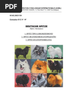 Morfología del perro: Graioides y Occipucio | PDF | Diente | Pastor alemán