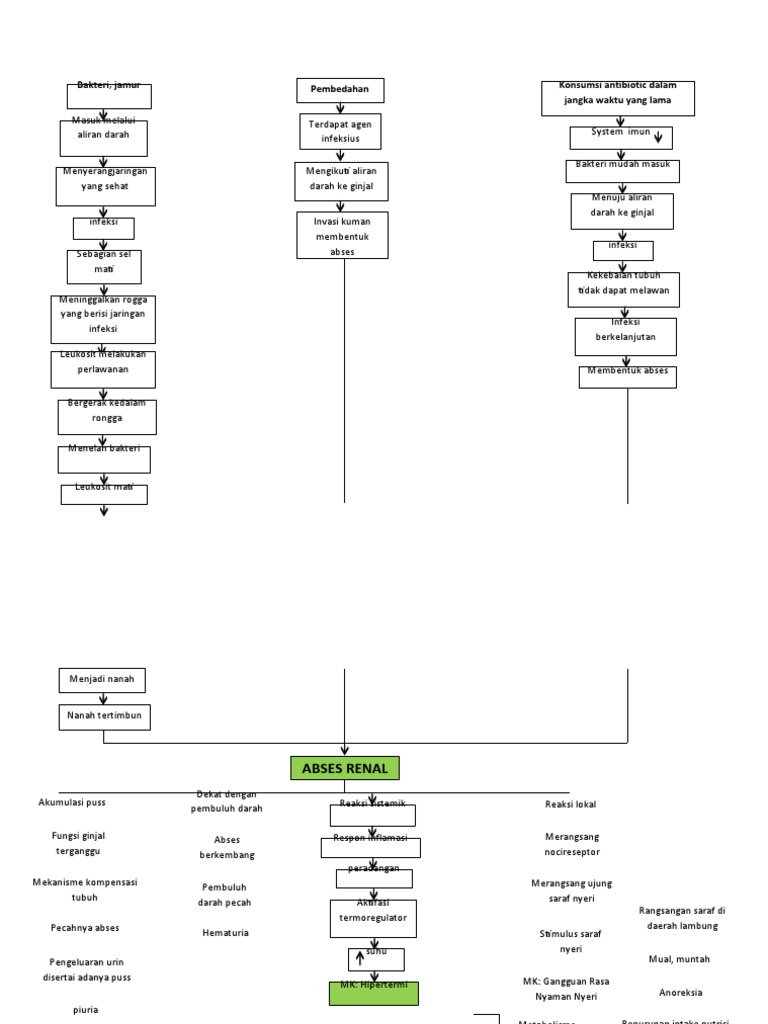 WOC Abses Renal | PDF