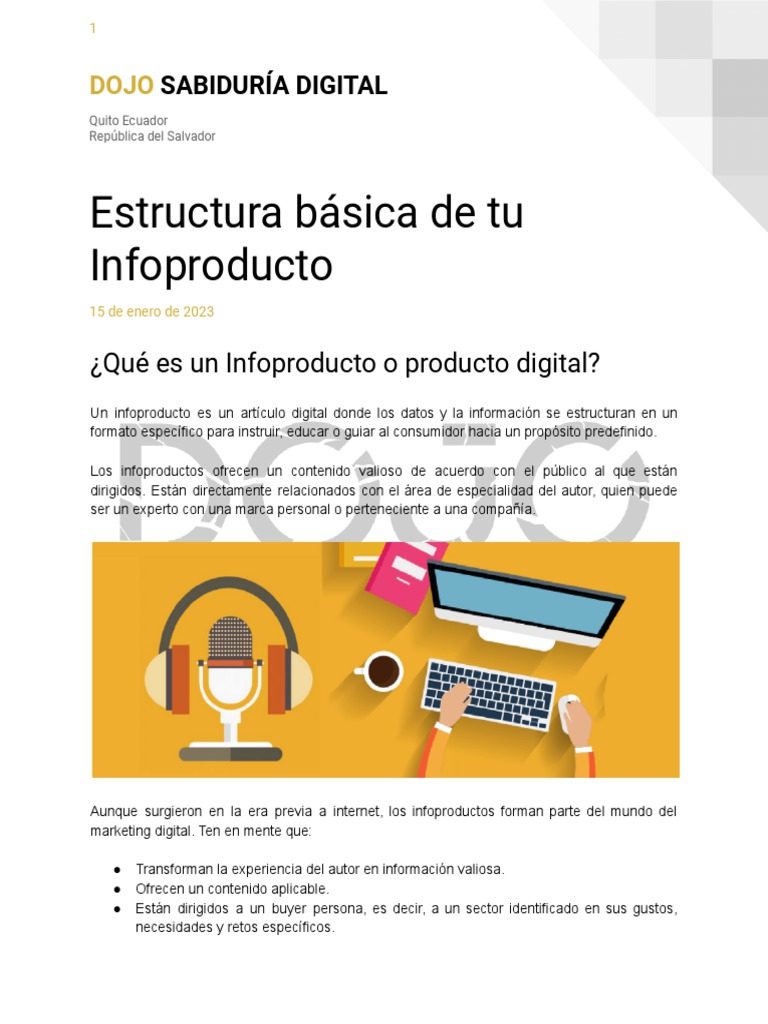 Estructura Básica de Tu Info Producto | PDF | Multimedia | Experiencia
