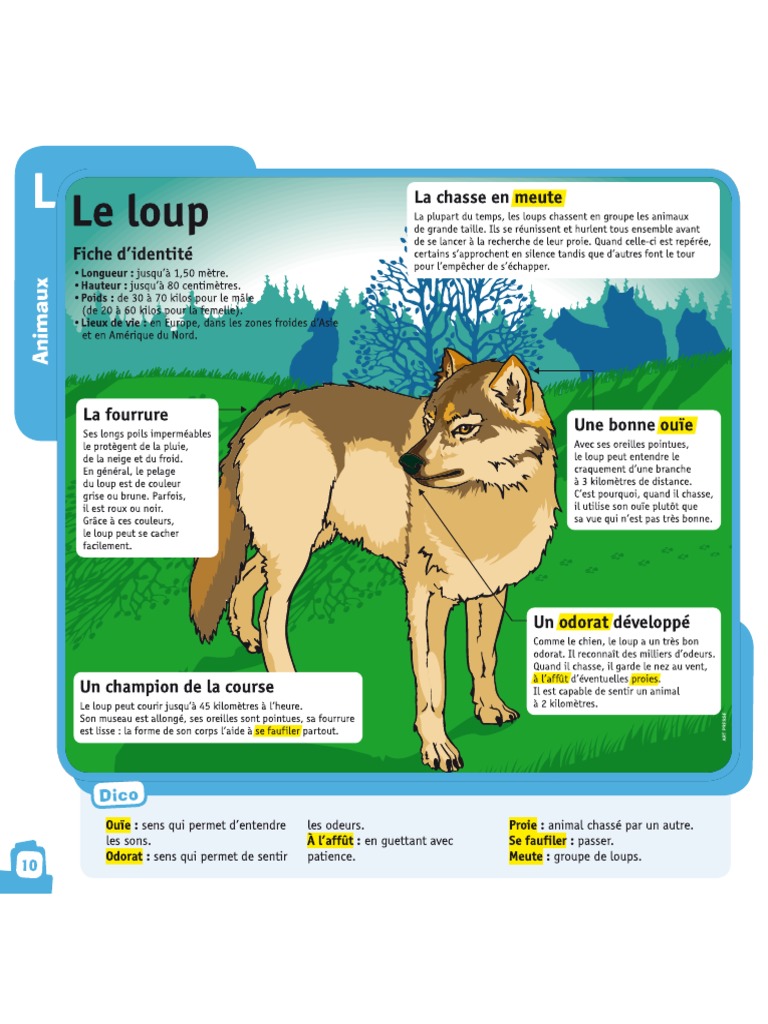 Le Loup | PDF