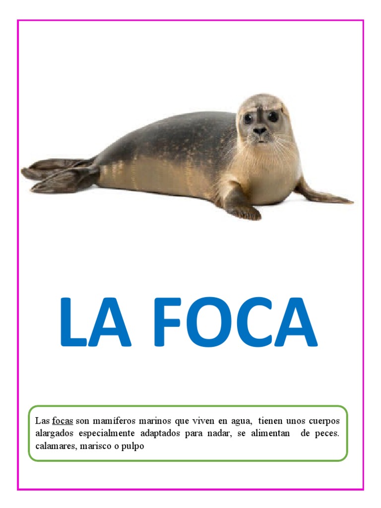 La Foca | PDF
