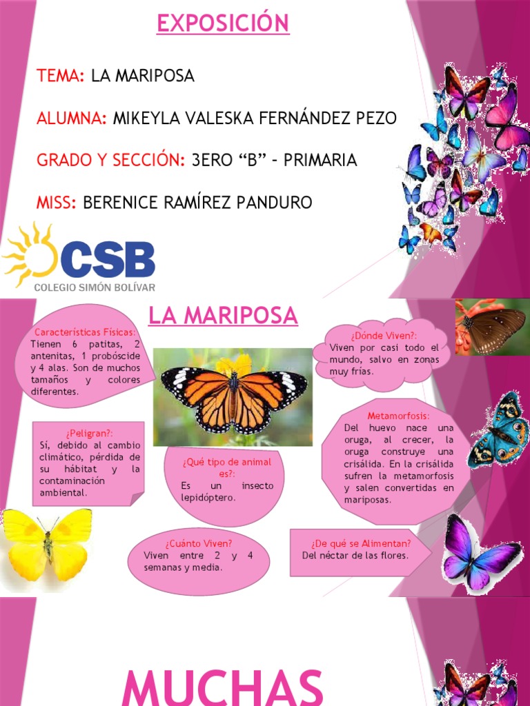 La Mariposa - Mikeyla Fernandez | PDF