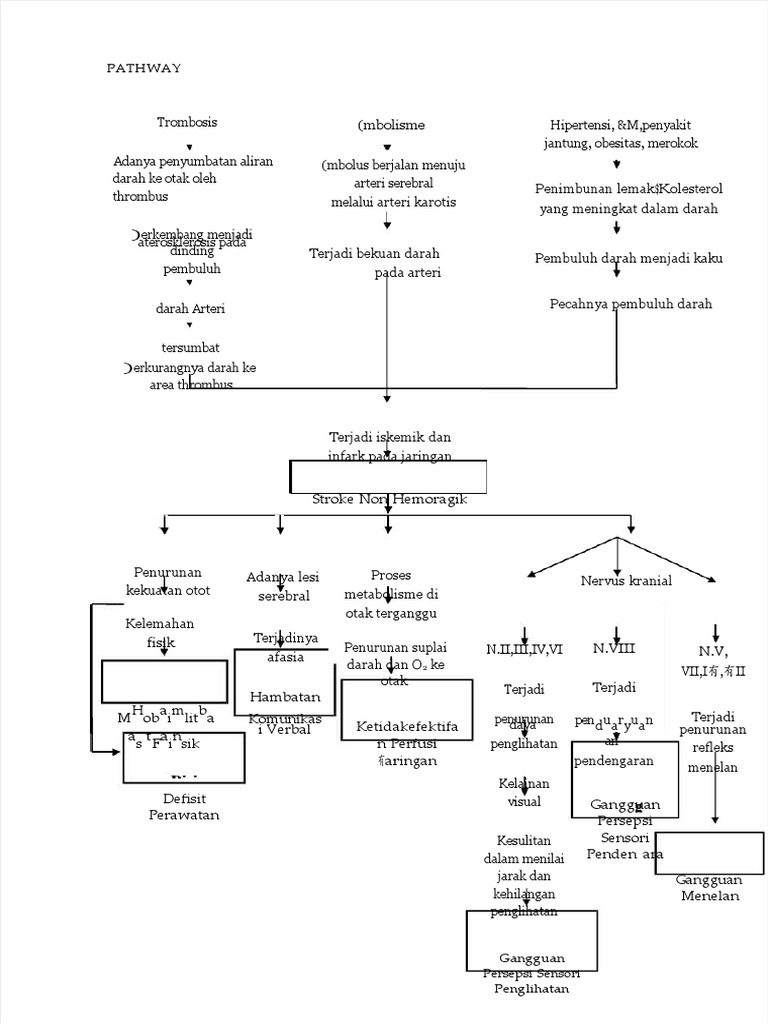 PDF Pathway SNH - Compress | PDF