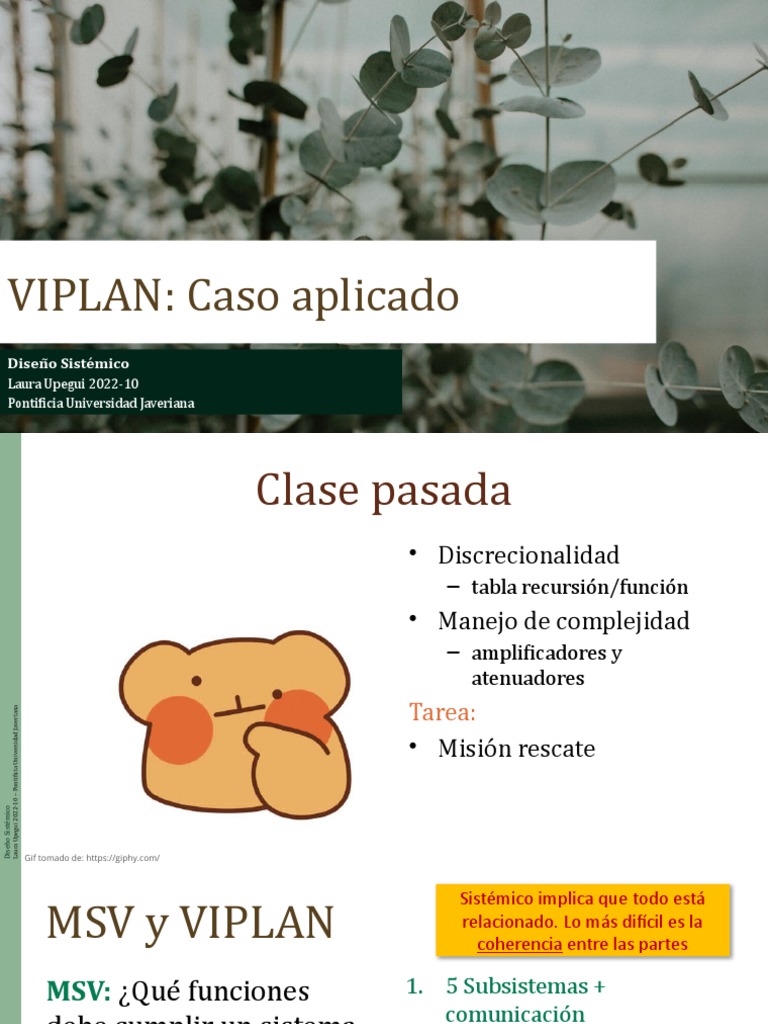 VIPLAN: Caso Aplicado: Diseño Sistémico | PDF