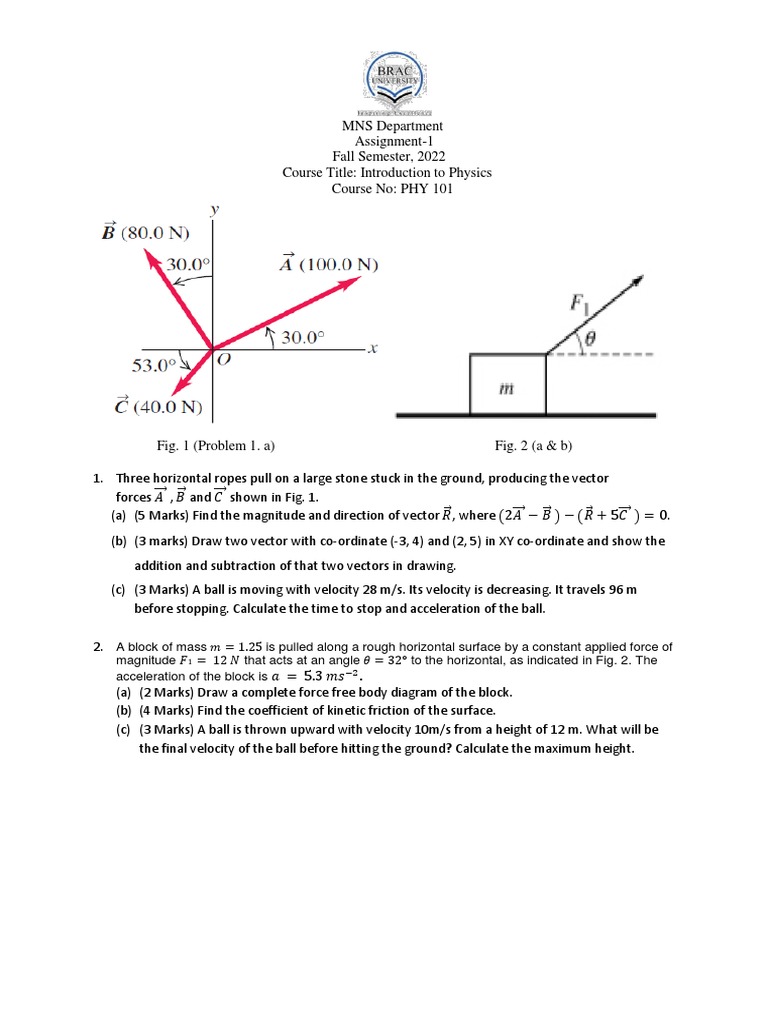 Physics Assignment on Vector Forces and Motion | PDF
