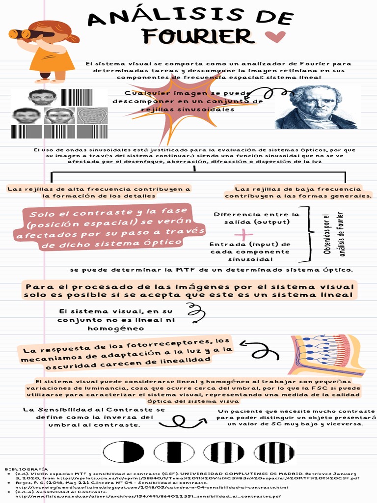 Análisis de Fourier | PDF | Óptica | Sistema visual
